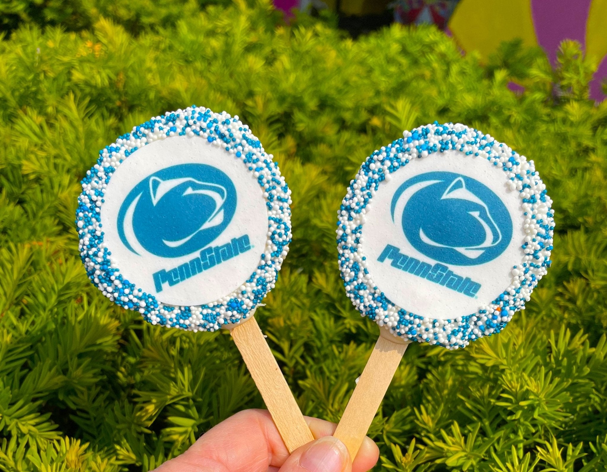 Buy Custom Rice Krispie Treat Pop | Sweeties Candy Cottage